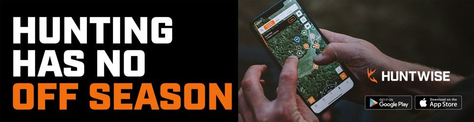 Shed Hunting Guide | HuntWise