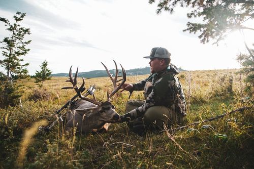 The Best Times to Hunt: The Ultimate Guide | HuntWise