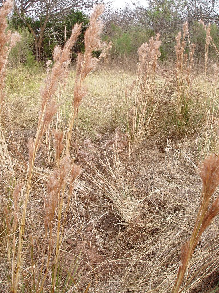 7 Wild Hog Facts Every Hog Hunter Should Know | HuntWise